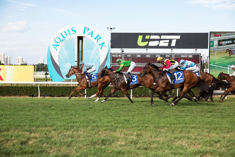 Gold Coast Girls in Business launches must attend Race Day Event - Gold ...